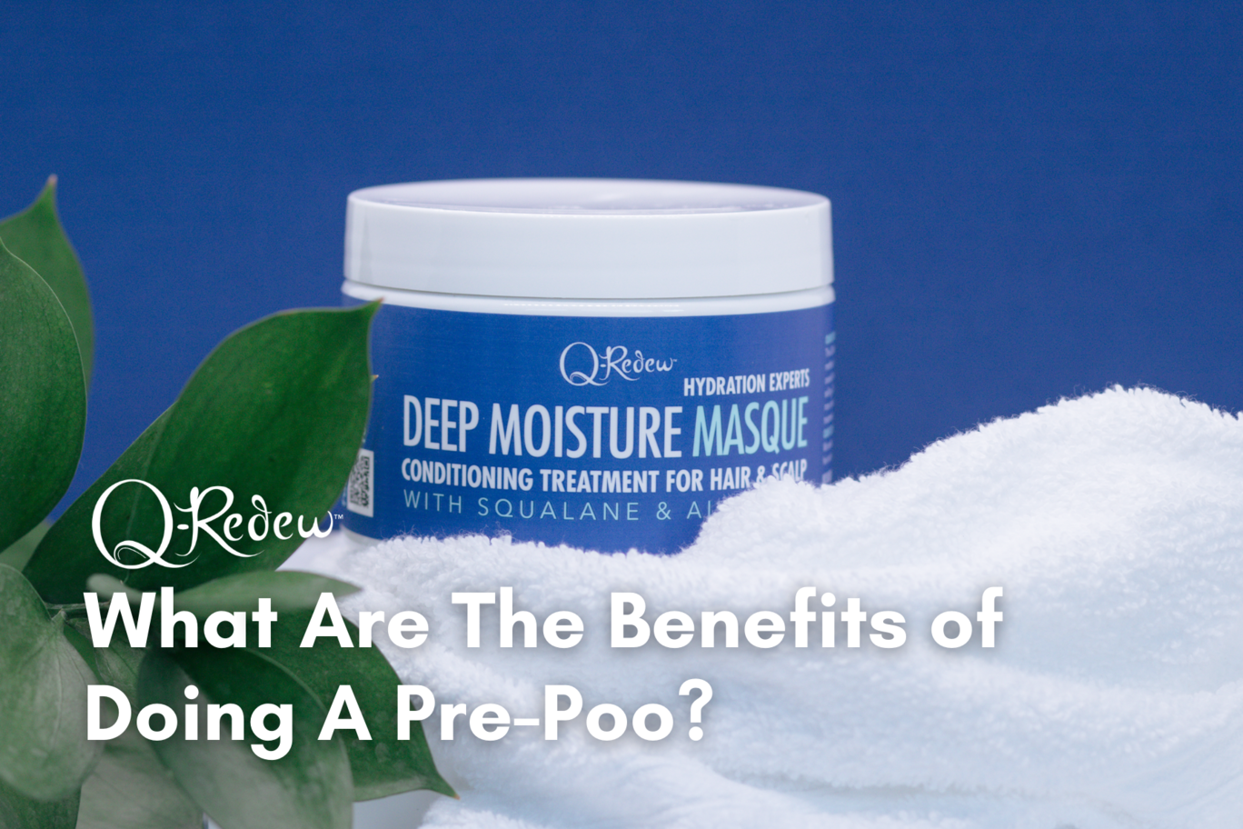 What Are the Benefits of Doing a Pre-Poo? – Q-Redew